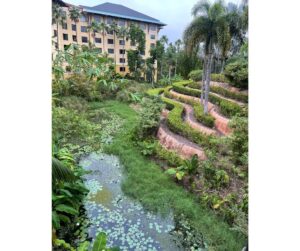Why You Need to Stay on Property at Universal Studios - Gentry Journeys