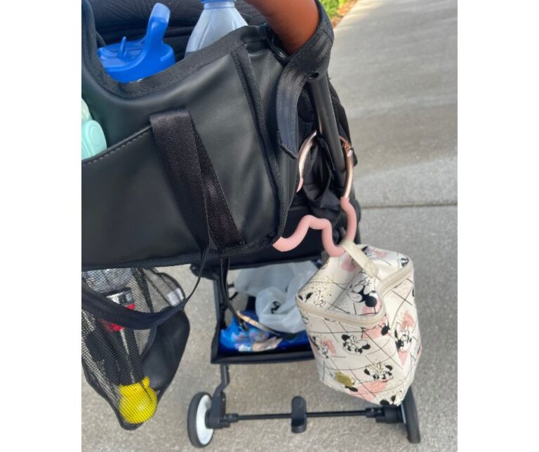 The Most Useful Stroller Accessories for a Theme Park - Gentry Journeys